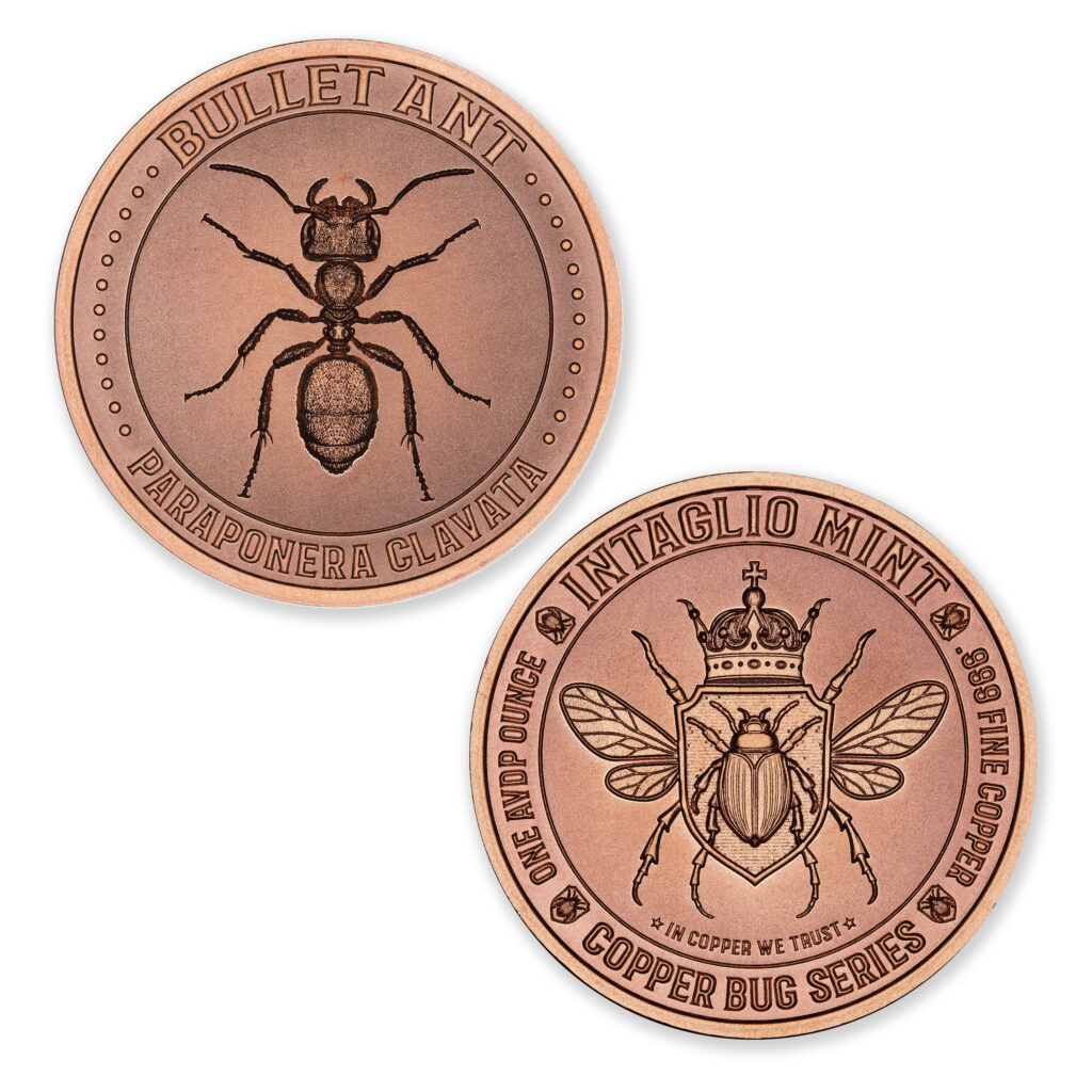 COPPER BUG SERIES - BULLET ANT | Intaglio Copper